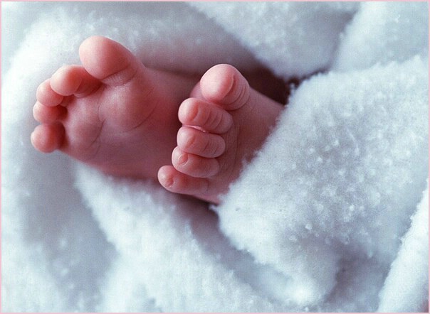 Baby Feet | Lynn Dove's Journey Thoughts