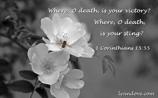 25 Encouraging Scripture Verses to Read at Funerals | Lynn Dove's ...