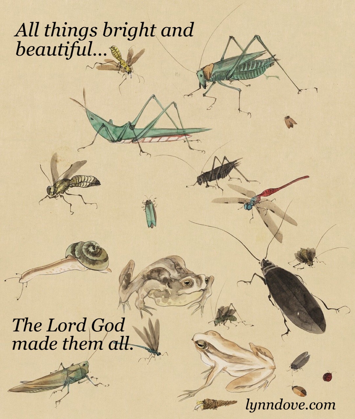 Lynn Dove's Journey Thoughts | Award-winning Blog with an Inspirational ...